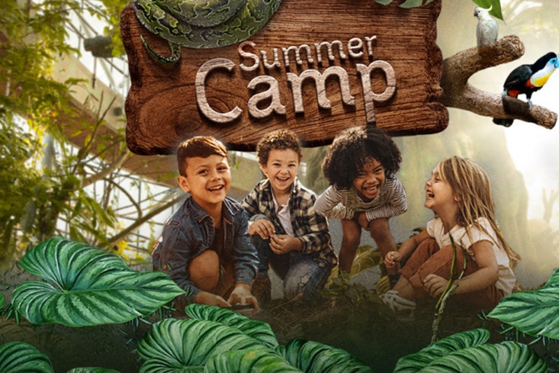 Summer Camps in Dubai - the Big List!
