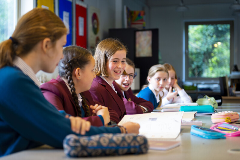 What is a Diamond Model School?