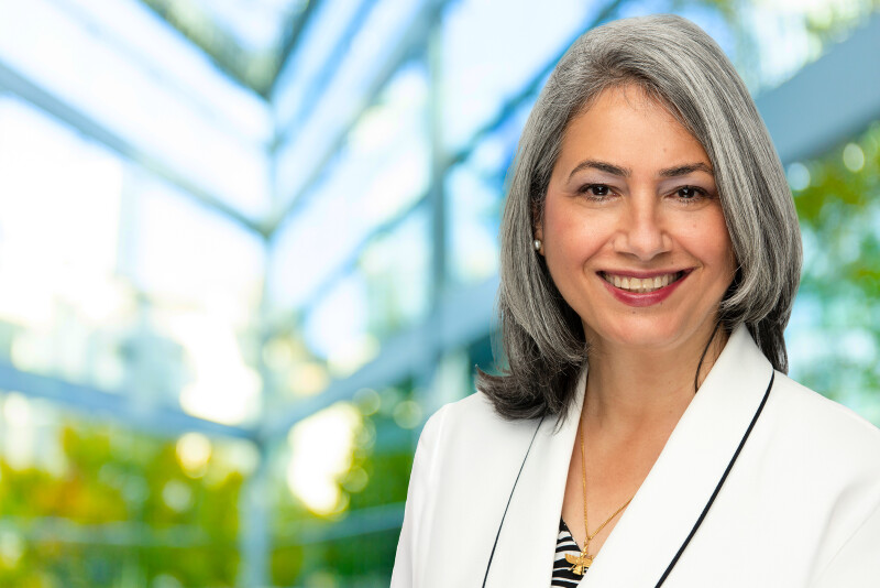 IB Results Day: GEMS Big 7 Powers IB Students to Top Universities and ...