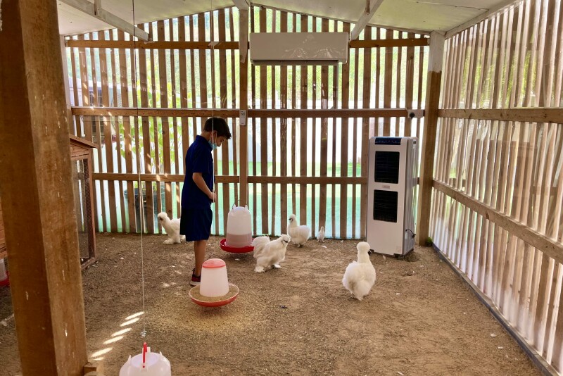 WATCH: My Safa British School Friends and Other Animals" - Episode 2 ...