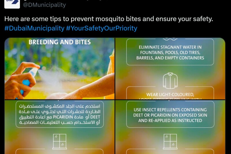 New UAE Dengue Fever Health Warning follows wet UAE Weather ...